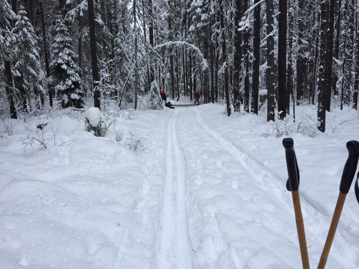 Winter Trail Use - Lois Creek Trails